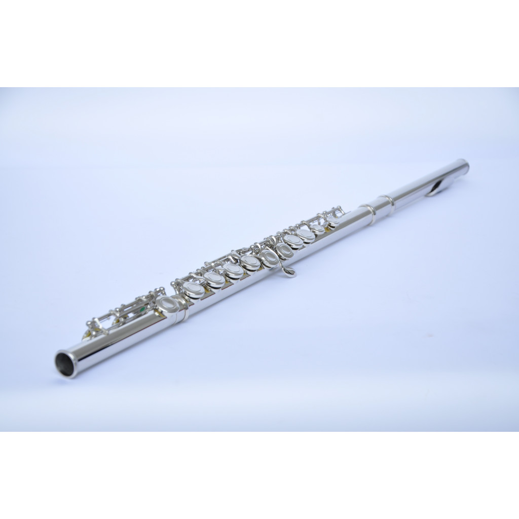 Флейта за начинаещи ,както и за напреднали ученици и студенти